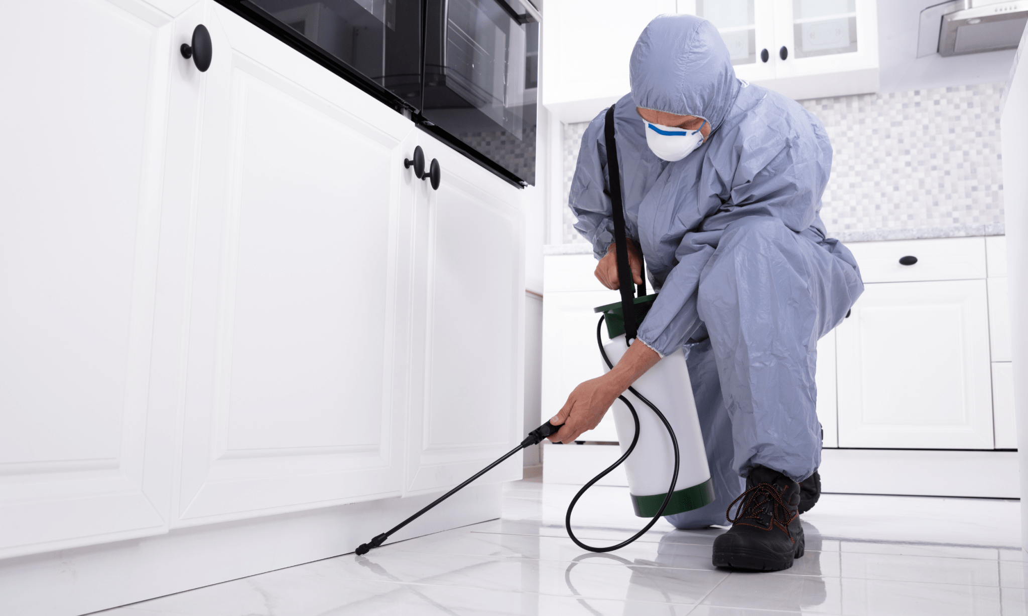 Insect Control - We Reveal 5 Methods | Natures Way