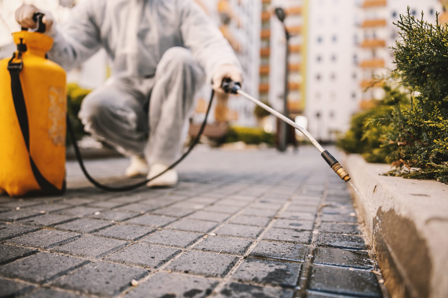 Billericay Restaurant Pest Control | Food Safety Experts